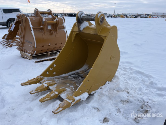 Cat 36 in Digging Excavator Bucket | Ritchie Bros. Auctioneers