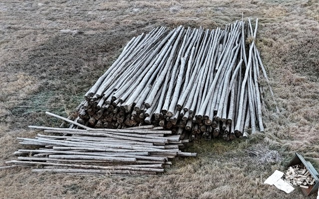 Quantity of Seasoned Tamarack Logs | Ritchie Bros. Auctioneers