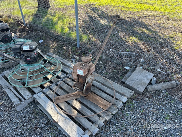 Briggs & Stratton 80202 Power Trowel | Ritchie Bros. Auctioneers