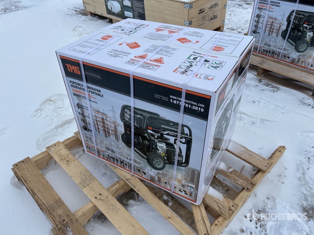 TMG 12 kW Portable Generator Set (Unused) | Ritchie Bros. Auctioneers