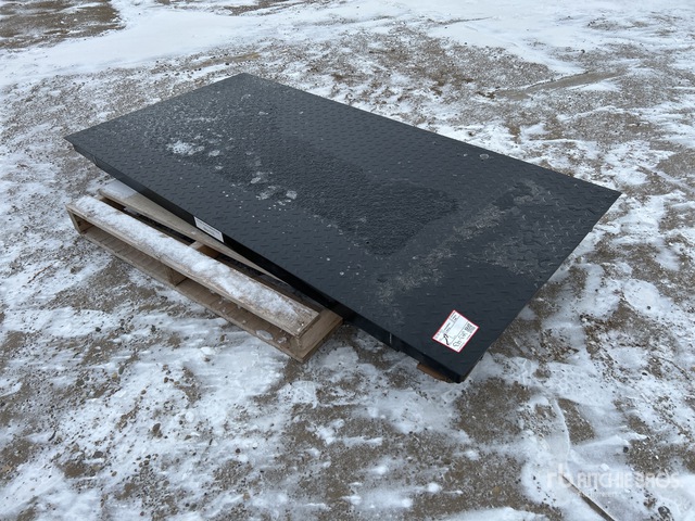 TMG FS10 40 in x 80 in 10 ton Floor Báscula (Unused) | Ritchie Bros ...