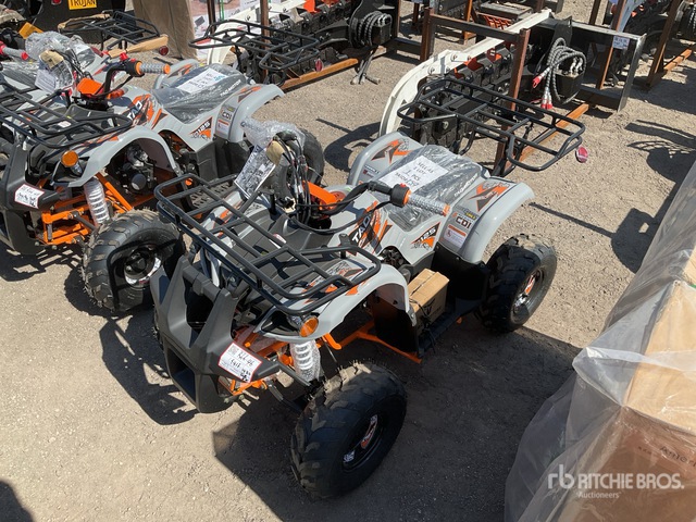 Tao Motor D125 4x2 ATV (Unused) | Ritchie Bros. Auctioneers