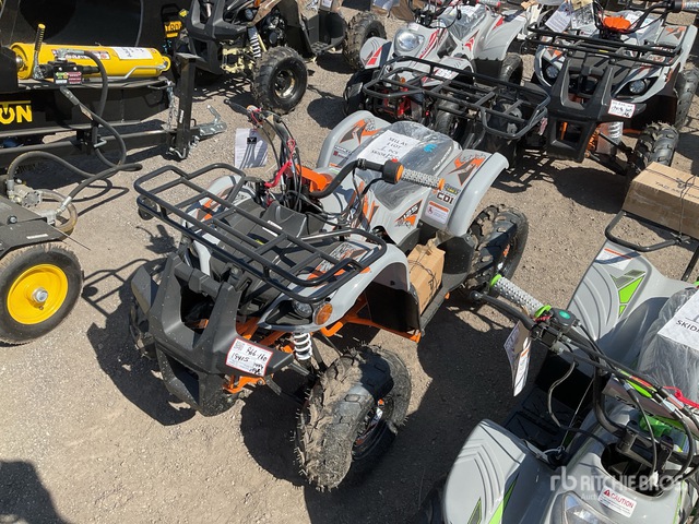 Tao Motor D125 4x2 ATV (Unused) | Ritchie Bros. Auctioneers