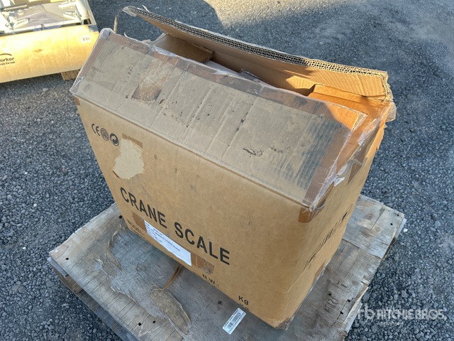 Multiquip 10 Ton Crane Báscula (Unused) | Ritchie Bros. Auctioneers