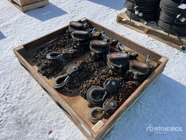 Quantity of Tiger Chain Hoist | Ritchie Bros. Auctioneers