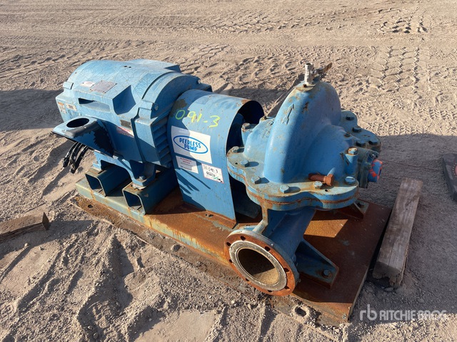Peerless Skid-Mounted Bomba de agua | Ritchie Bros. Auctioneers