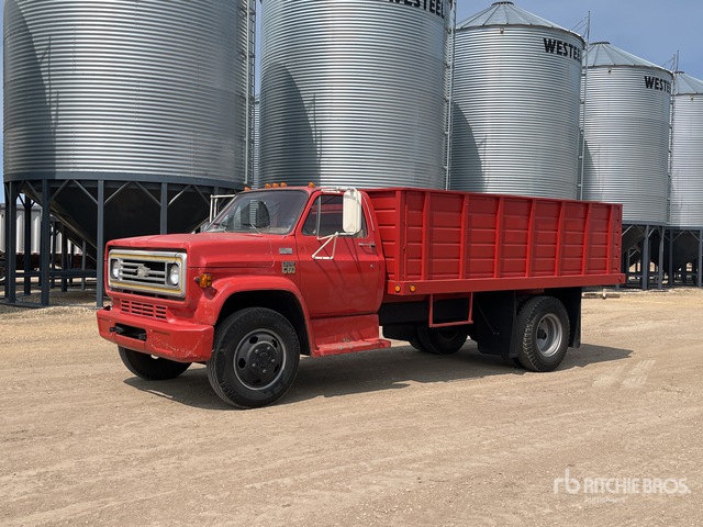 1978 Chevrolet C60 4x2 Grain Truck | Ritchie Bros. Auctioneers