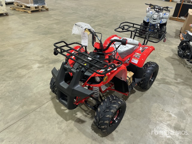 2025 Tao Motor D125 4x2 Electric ATV | Ritchie Bros. Auctioneers