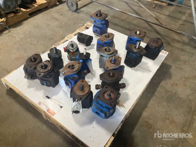 Quantity of (17) Assorted Hydraulic Pumps | Ritchie Bros. Auctioneers