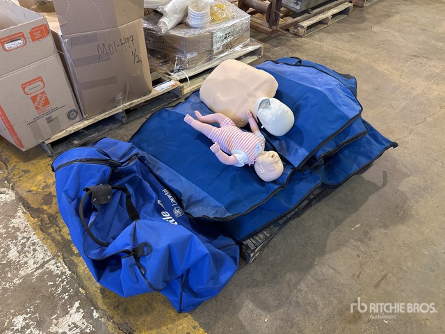 Quantity of (5) Laerdal Little Anne CPR Training Dolls | Ritchie Bros ...