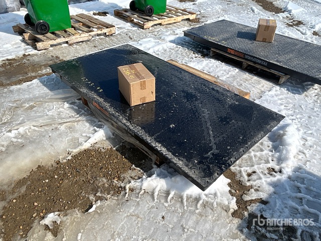 StanForge FS10 10 ton Platform scale Báscula (Unused) | Ritchie Bros ...