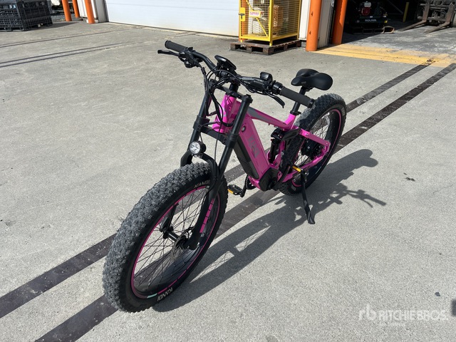 2024 Kandi Trail King MT750 Electric Bicycle | Ritchie Bros. Auctioneers