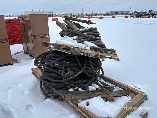 Quantity of 4C1-10 Big Extension Cord | Ritchie Bros. Auctioneers
