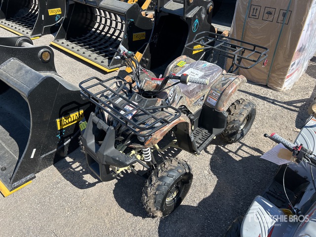 2025 Tao Motor D125 4x2 ATV (Unused) | Ritchie Bros. Auctioneers