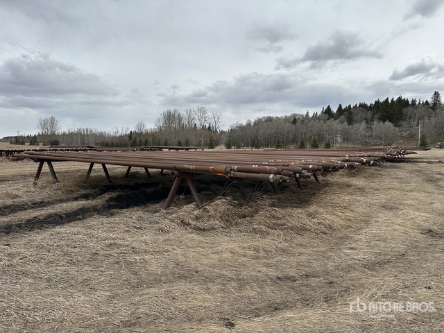 Quantity of (25) Range 2 3 1/2 in IF Tube de forage | Ritchie Bros ...
