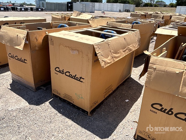 2021 Cub Cadet CC30E Ride-On Electric Lawn Mower (Unused) | Ritchie ...