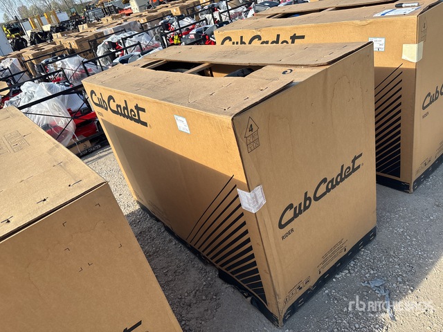 2021 Cub Cadet CC30E Ride-On Electric Lawn Mower (Unused) | Ritchie ...