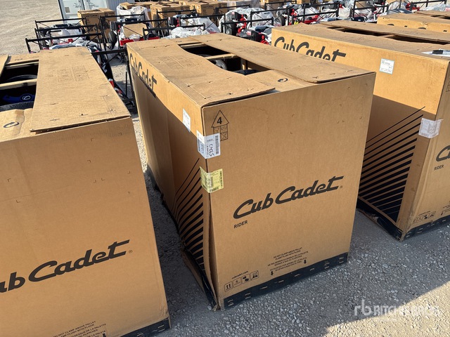 2021 Cub Cadet CC30E Ride-On Electric Lawn Mower (Unused) | Ritchie ...