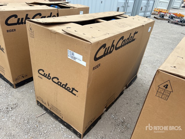 2021 Cub Cadet CC30E Ride-On Electric Lawn Mower (Unused) | Ritchie ...