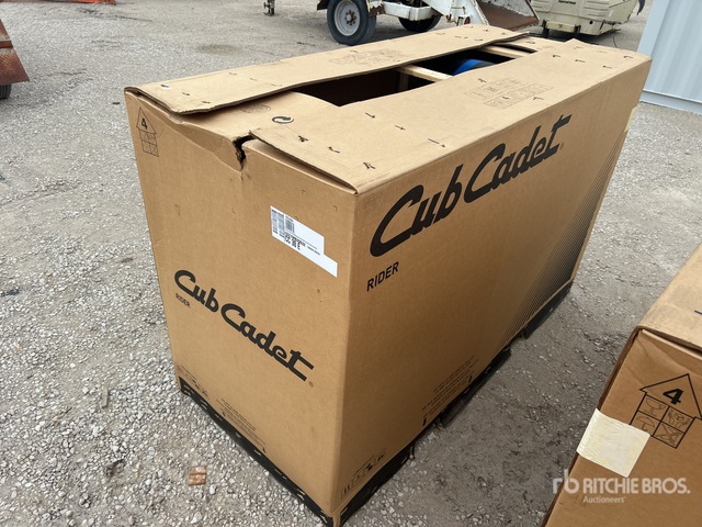 2021 Cub Cadet CC30E Ride-On Electric Lawn Mower (Unused) | Ritchie ...