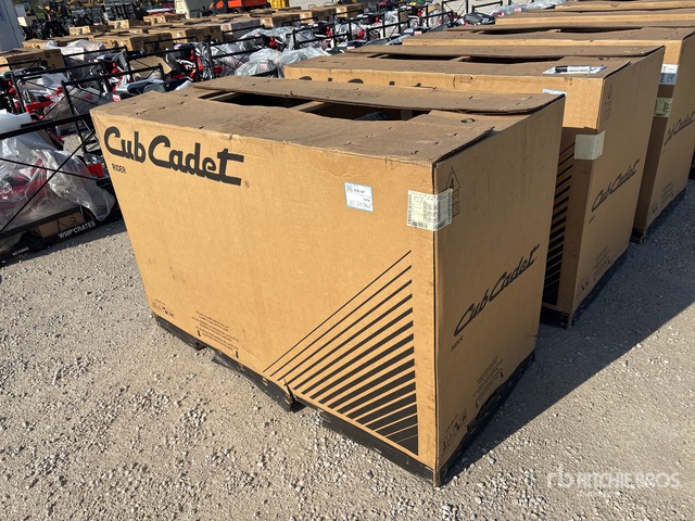 2021 Cub Cadet CC30E Ride-On Electric Lawn Mower (Unused) | Ritchie ...