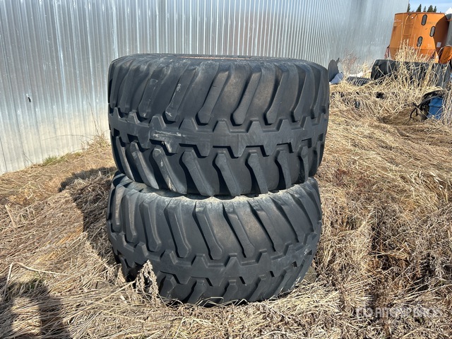 Quantity of (2) Firestone 48x25.00-20 Tires | Ritchie Bros. Auctioneers