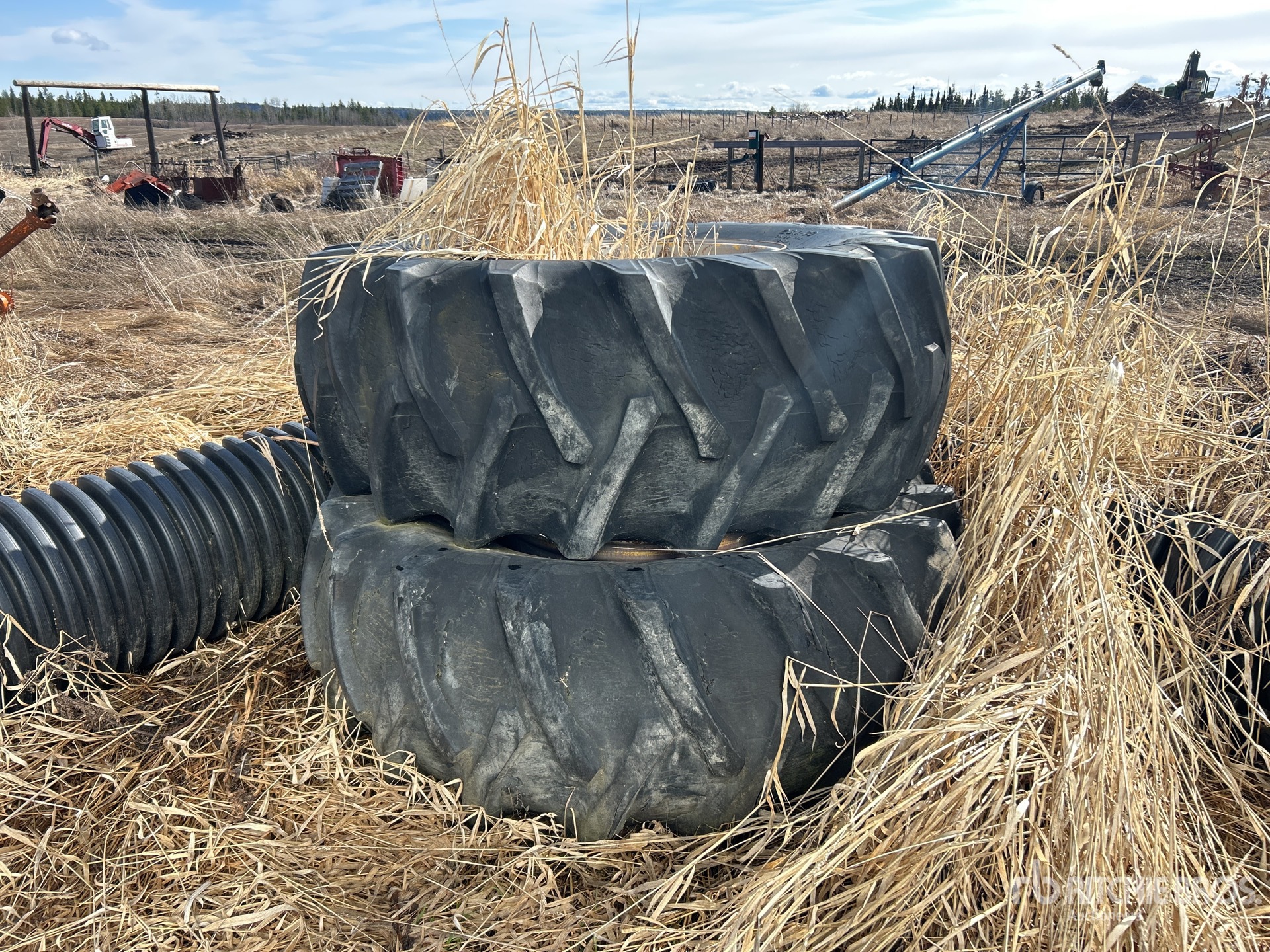 Quantity of (2) Firestone 23.1-30 Tires | Ritchie Bros. Auctioneers
