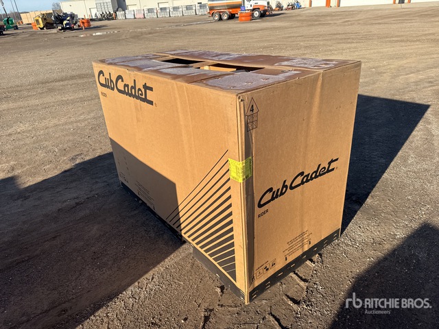 2021 Cub Cadet CC30E Ride-On Electric Lawn Mower | Ritchie Bros ...