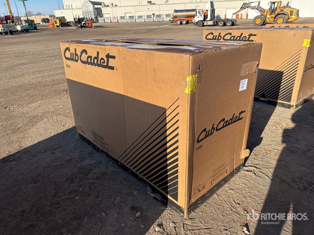 2021 Cub Cadet CC30E Ride-On Electric Lawn Mower | Ritchie Bros ...