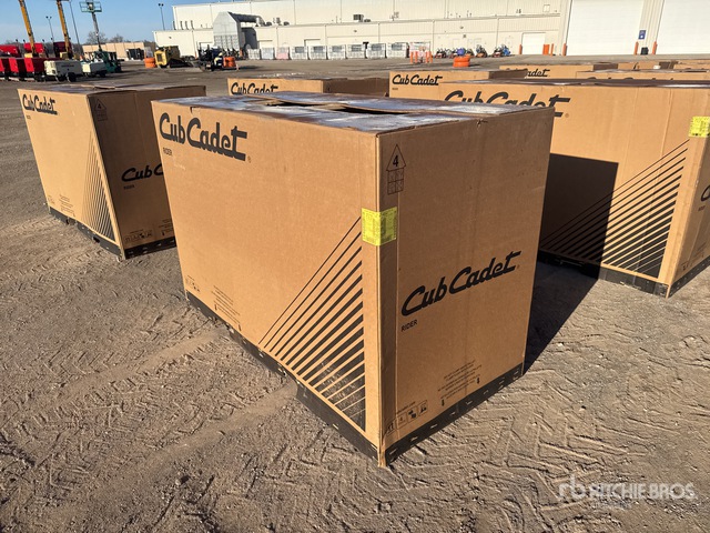 2021 Cub Cadet CC30E Ride-On Electric Lawn Mower | Ritchie Bros ...