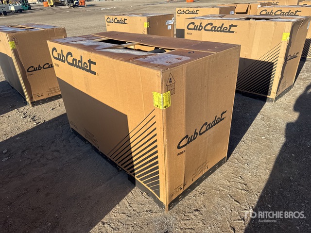 2021 Cub Cadet CC30E Electric Lawn Mower | Ritchie Bros. Auctioneers