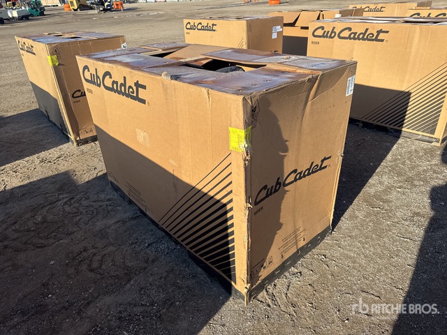 2021 Cub Cadet CC30E Electric Lawn Mower | Ritchie Bros. Auctioneers