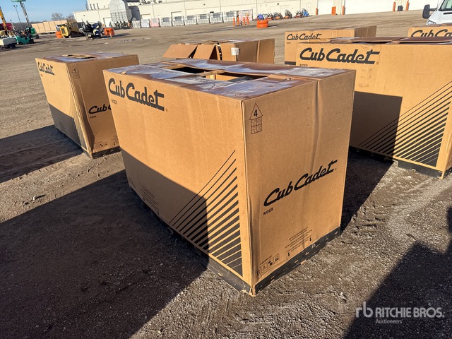 2021 Cub Cadet CC30E Electric Lawn Mower | Ritchie Bros. Auctioneers