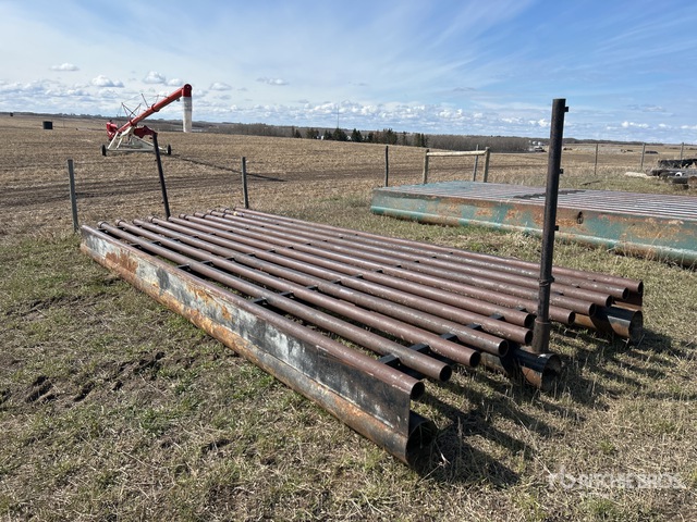 20 ft x 8 ft Texas Cancello per recinto bestiame | Ritchie Bros ...
