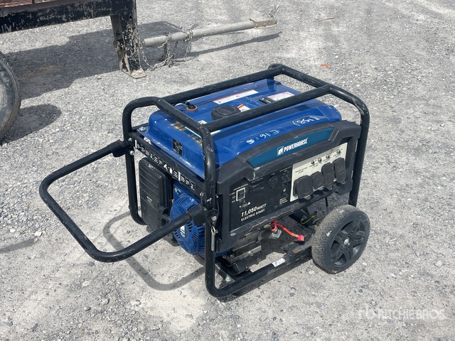 Powerhorse 102221 11 kW Portable Generator Set | Ritchie Bros. Auctioneers