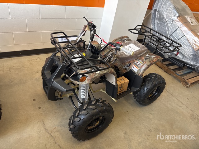 Tao T-Force 4x2 ATV | Ritchie Bros. Auctioneers