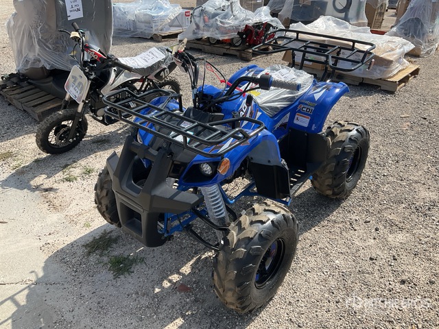 2025 Tao T125 4x2 ATV | Ritchie Bros. Auctioneers