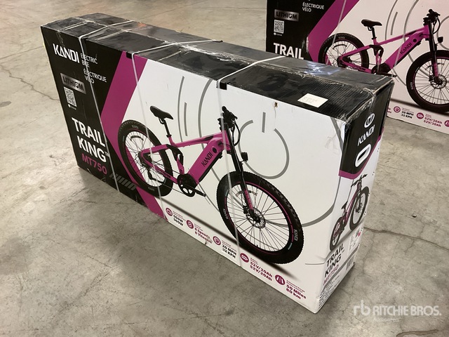 Kandi Trail King MT750 Electric Bicycle (Unused) | Ritchie Bros ...