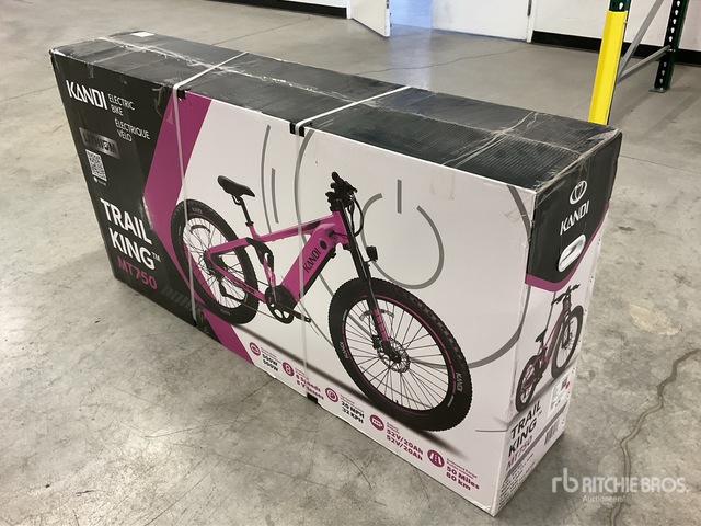 Kandi Trail King MT750 Electric Bicycle (Unused) | Ritchie Bros ...