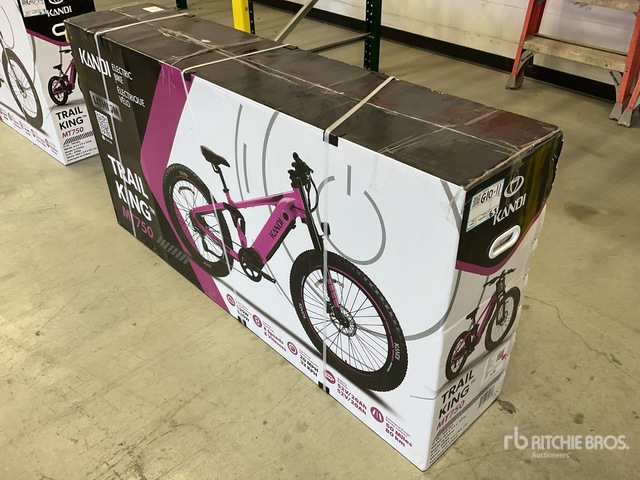 Kandi Trail King MT750 Electric Bicycle (Unused) | Ritchie Bros ...