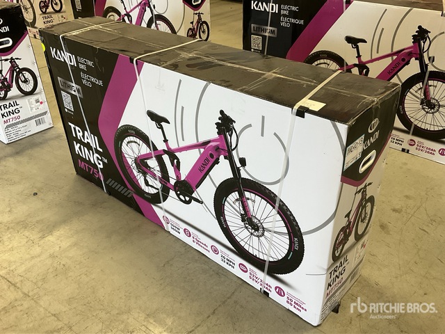 Kandi Trail King MT750 Electric Bicycle (Unused) | Ritchie Bros ...