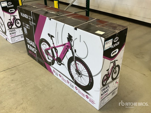 Kandi Trail King MT750 Electric Bicycle (Unused) | Ritchie Bros ...