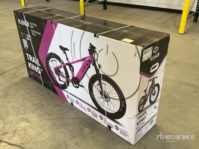 Kandi Trail King MT750 Electric Bicycle (Unused) | Ritchie Bros ...