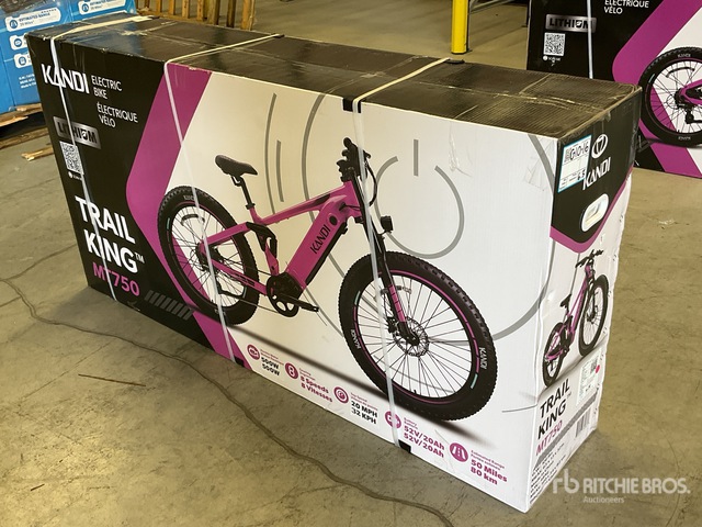 Kandi Trail King MT750 Electric Bicycle (Unused) | Ritchie Bros ...