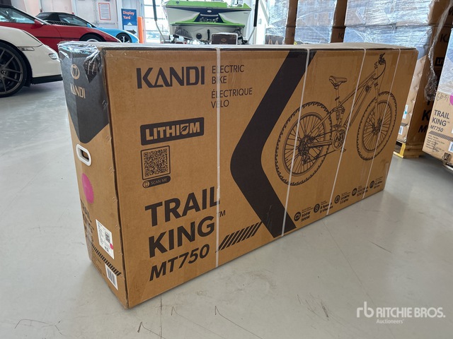 Kandi Trail King MT750 Electric Bicycle (Unused) | Ritchie Bros ...
