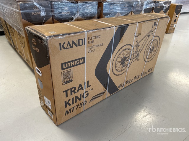 Kandi Trail King MT750 Electric Bicycle (Unused) | Ritchie Bros ...