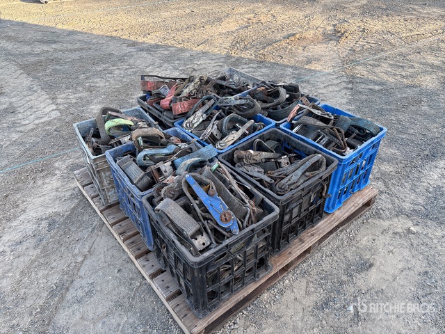 Quantity of Hand Rachets | Ritchie Bros. Auctioneers