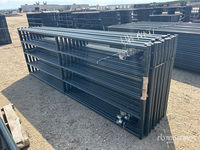 Quantity of (17) 2025 BYT RG12 12 ft x 4 ft Ranch Portail pour bétail ...