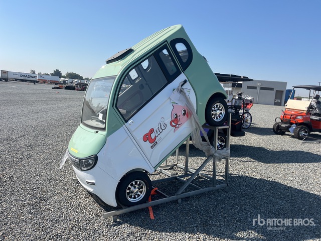 2025 Raccoon RC-G150 4x2 Electric Utility Vehicle (Unused) | Ritchie ...