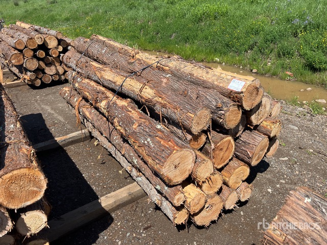Quantity of (25) Ruff Cut Logs 8ft Ruff Cut Logs White Cedar | Ritchie ...